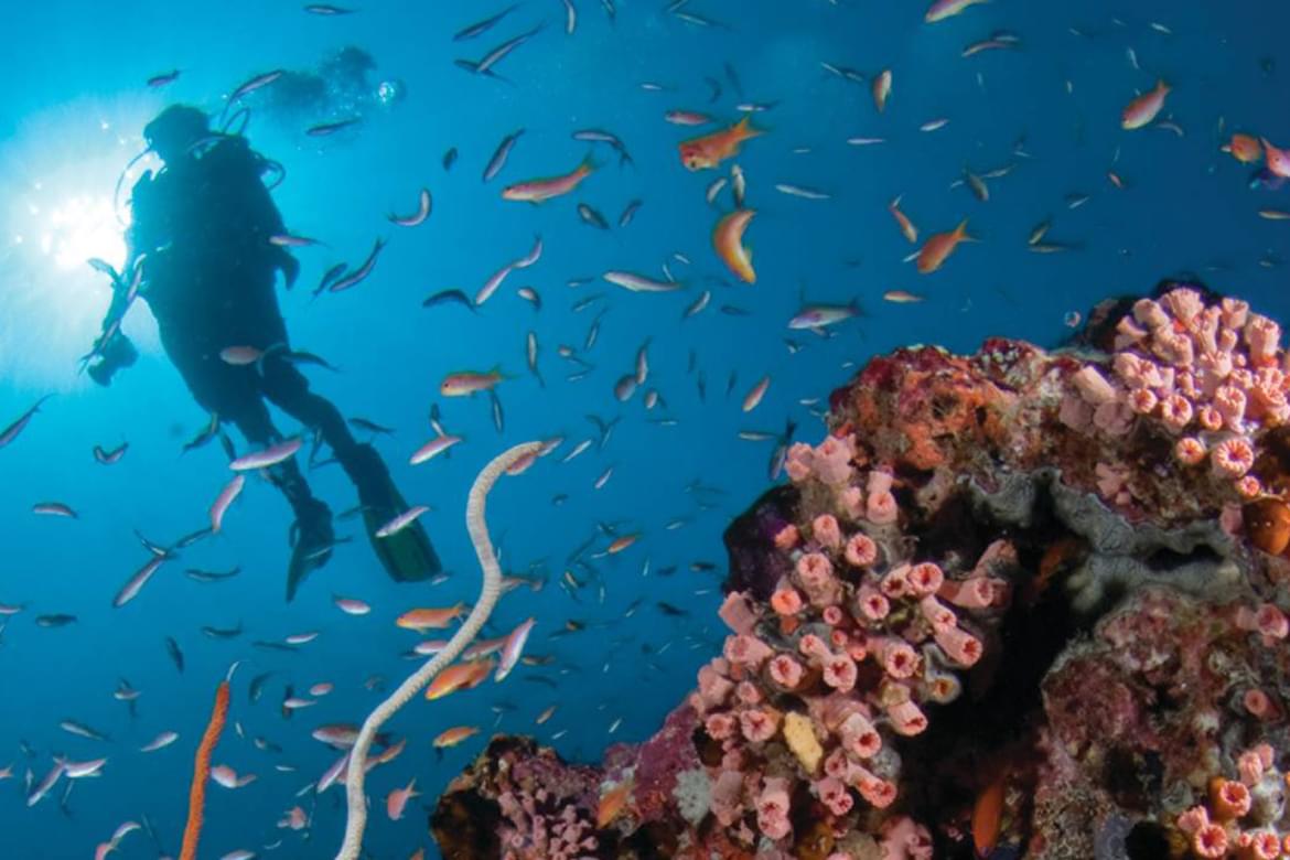 Four Seasons Explorer - Luxury Resorts | Berkeley Travel